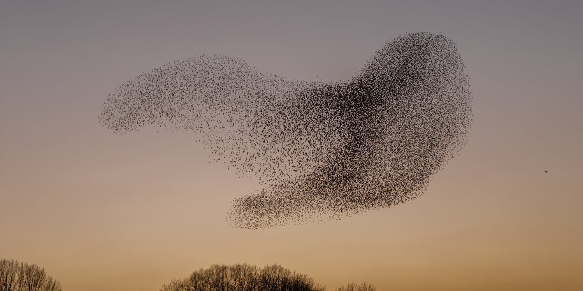 Oplev sort sol i Danmark | Guide til gode steder