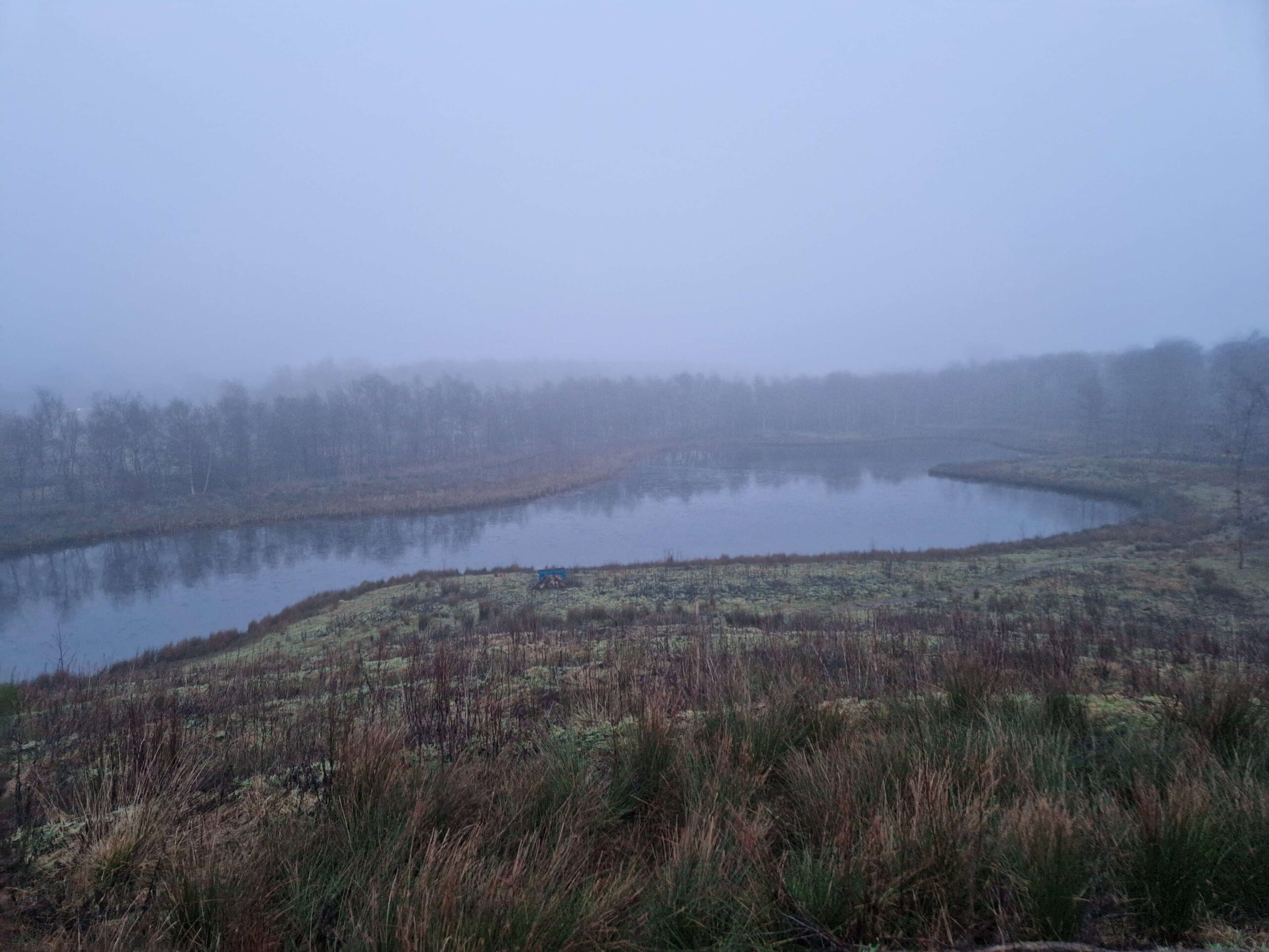 Hvad er tåge? Bliv klogere på hvad tåge og dis er her